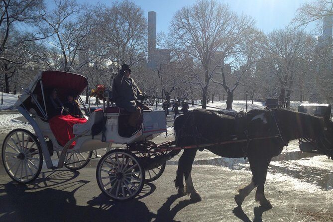 Private Walking Tour: Jewish Colonial History in New York City - Why This Tour Offers Great Value
