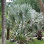 Private Walking Tour to St. John's Botanical Garden - Why This Tour Is Worth It