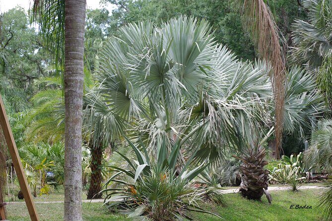 Private Walking Tour to St. John's Botanical Garden - Why This Tour Is Worth It