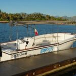 Private Whale Watching in San José del Cabo - Authentic Reviews: Real Insights from Travelers