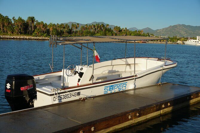 Private Whale Watching in San José del Cabo - Authentic Reviews: Real Insights from Travelers