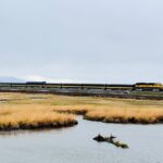 Private Whittier Cruise Transfer & Scenic Tour for Large Groups - The Itinerary: What Youll Experience