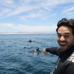 Private Wild Dolphin Encounter Day Trip - What Travelers Say