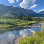 PRIVATE Wilderness and Wildlife Walking Tour - 2.5H - Who Will Love This Tour?