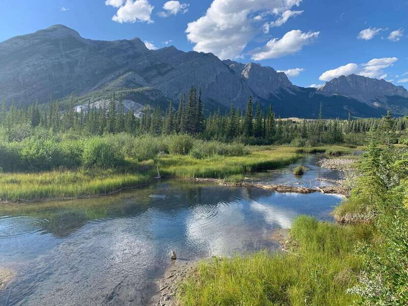 PRIVATE Wilderness and Wildlife Walking Tour - 2.5H - Who Will Love This Tour?