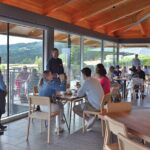 Private Willamette Valley Wine Tour - Analyzing the Value