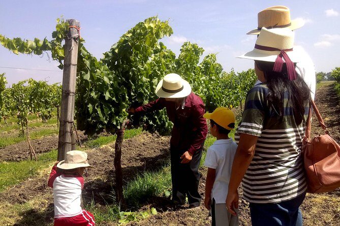 Private wine tasting & wine pairing tours - Authenticity and Quality