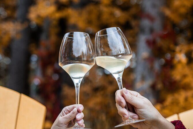 Private Wine Tastings in Simcoe County - The Sum Up