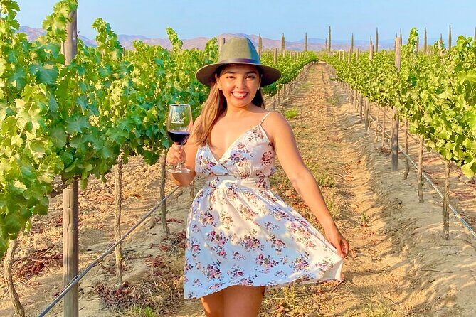 Private Wine Tour at Valle de Guadalupe (A wine tasting included). - Who Should Consider This Tour?