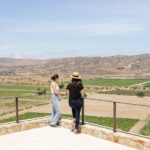 Private Wine Tour by Ansell Tours - Who Should Consider This Tour?