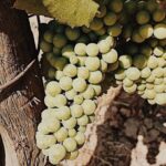 Private Wine Tour for 1-5 People in Oregon - Who Should Consider This Tour?