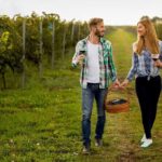 Private Wine Tour in Niagara-on-the-Lake w/ cheese & charcuterie - Who Would Enjoy This Tour?