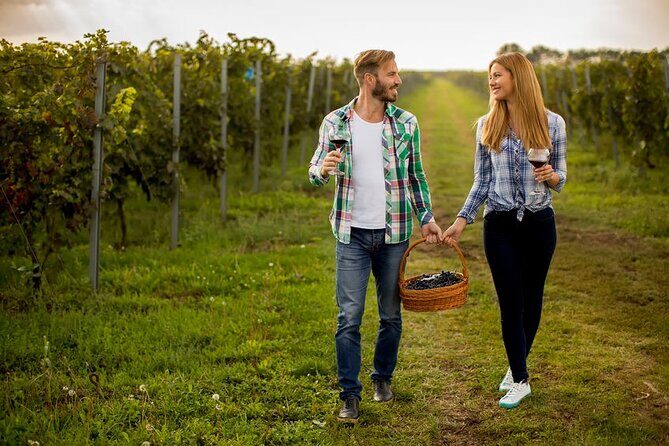 Private Wine Tour in Niagara-on-the-Lake w/ cheese & charcuterie - Who Would Enjoy This Tour?