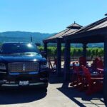 Private Wine Tour Napa or Sonoma 6 hours up to 6 people - Who Will Love This Tour?