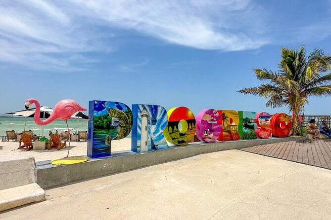Progreso, Flamingos, Cenote, and Salt Ponds adventure from Merida - Practical Details and What You Should Know