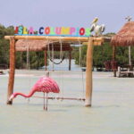 Progreso: Isla Columpios and Pig Beach Club Day Pass - The Practical Side: What Travelers Should Know