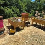 Promise Land Bee Farm Private Tour in Charleston - Why This Tour Works for Travelers