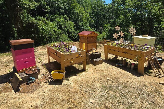 Promise Land Bee Farm Private Tour in Charleston - Why This Tour Works for Travelers