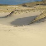 Provincetown: Cape Cod National Seashore Park Dune Tour - What You Will See and Learn