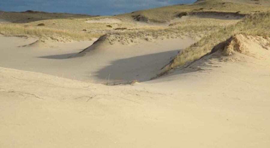 Provincetown: Cape Cod National Seashore Park Dune Tour - What You Will See and Learn