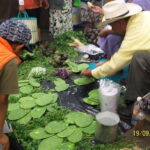 Puebla: 5-Hour Culinary Tour with Tastings - Authenticity and Guide Experience