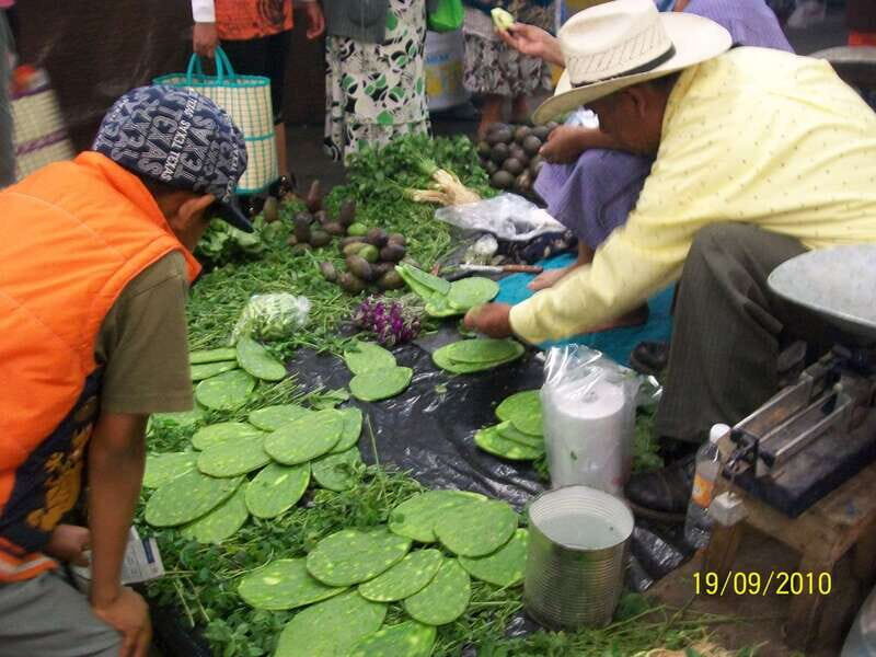 Puebla: 5-Hour Culinary Tour with Tastings - Authenticity and Guide Experience