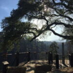 Puebla: Alpinia Mountain and Nature Park - The Itinerary: What to Expect