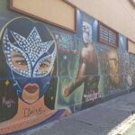 Puebla: Lucha Libre Show with Pulque and Pasita Tasting - Analyzing the Value