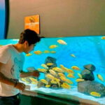Puebla: Ticket to Aquarium Michin - What Real Visitors Say