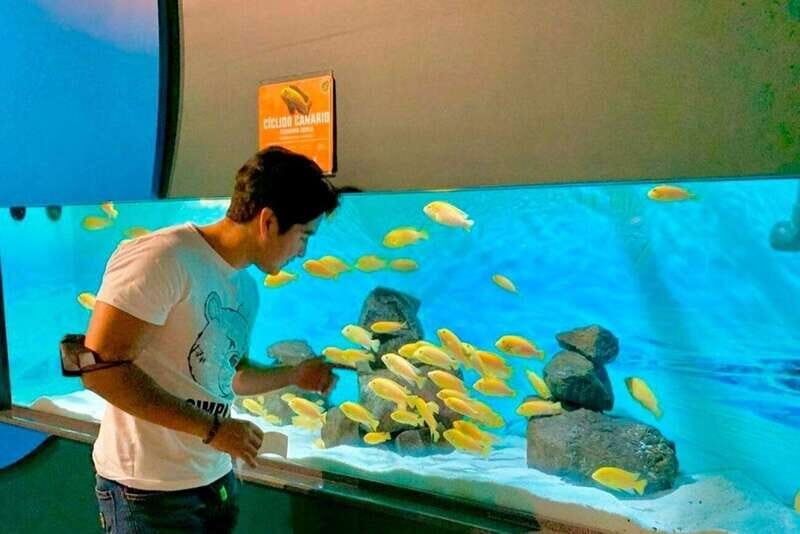 Puebla: Ticket to Aquarium Michin - What Real Visitors Say
