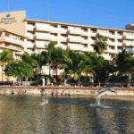 Puerto Aventuras: Amazing Dolphin Encounter with Lunch - The logistics and what’s included