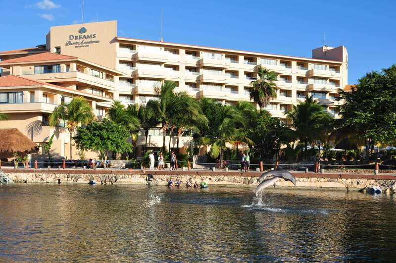Puerto Aventuras: Amazing Dolphin Encounter with Lunch - The logistics and what’s included
