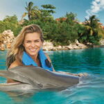 Puerto Aventuras: Dolphin Swim, Sea Lions, Manatees, & Lunch - The Price and Its Value