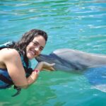 Puerto Aventuras: Dolphins, Manatee & Sea Lion interaction - The Logistics and Practicalities