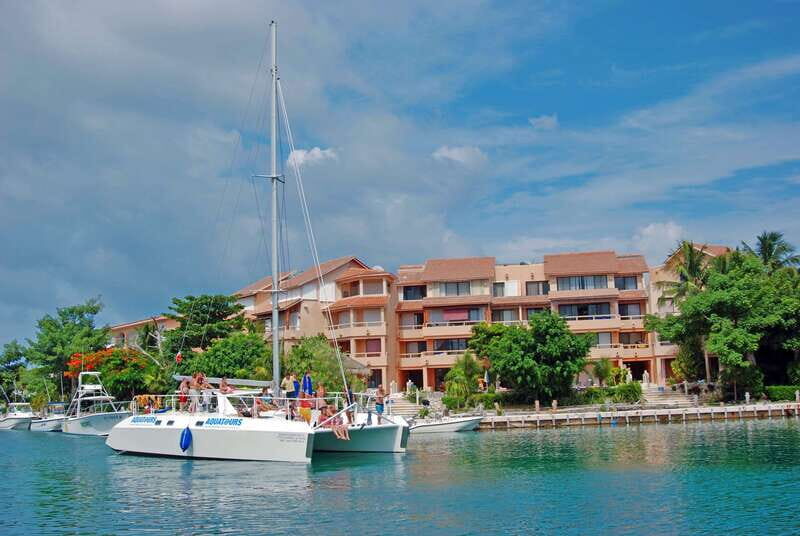 Puerto Aventuras: Manatee Encounter - The Experience Itself: A Closer Look
