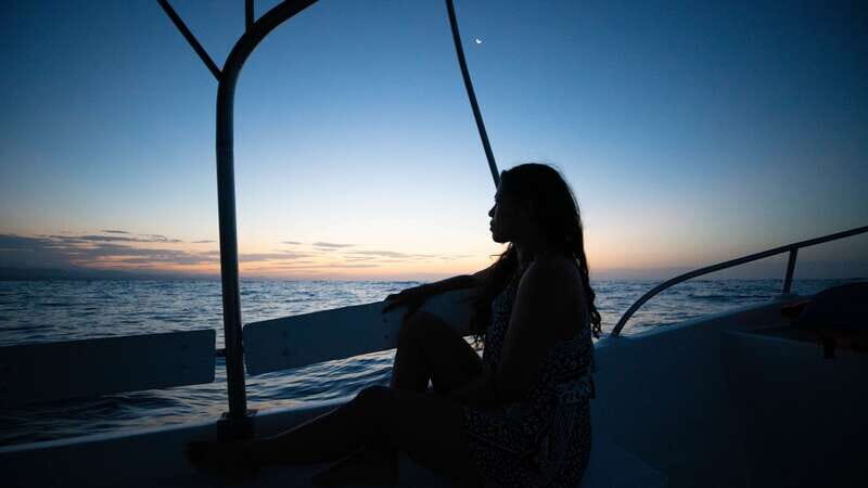 Puerto Escondido: Boat Tour among Dolphins and Turtles - What Travelers Say