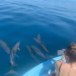 Puerto Escondido: Boat Tour to see Dolphins and Marine Life - The Experience: What to Expect on the Boat Tour