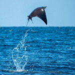 Puerto Escondido: Family Private Boat Tour - Authentic Experiences, Not Just a Boat Ride