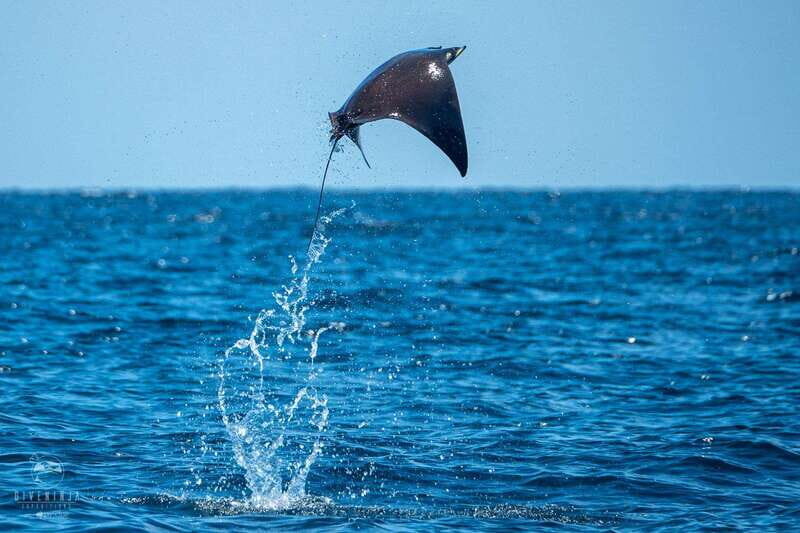 Puerto Escondido: Family Private Boat Tour - Authentic Experiences, Not Just a Boat Ride