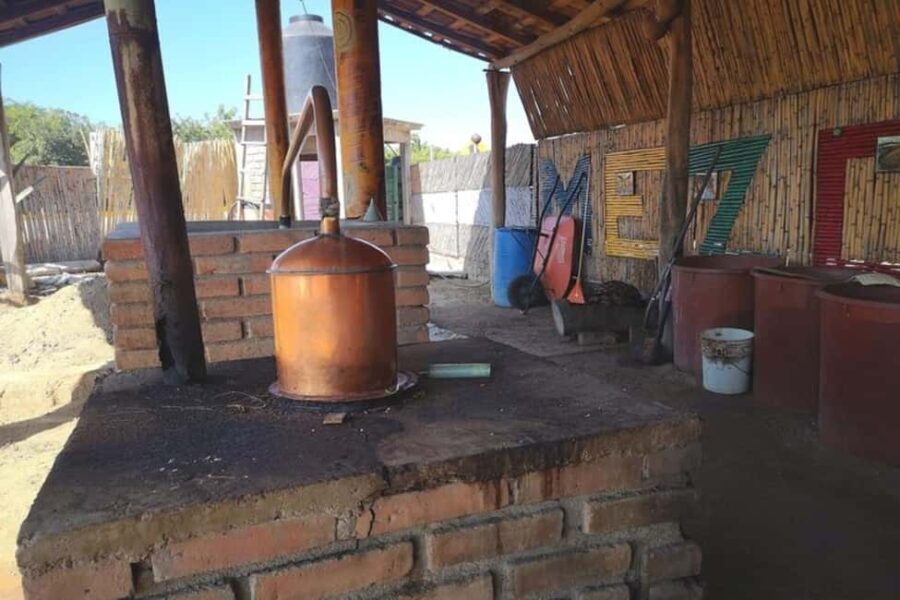 Puerto Escondido: Mezcal, Coffee, and Pedal Loom Factory - Who Should Consider This Tour?