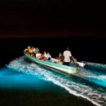 Puerto Escondido: Turtle Release and Bioluminescent Plankton - The Bioluminescent Lagoon Experience