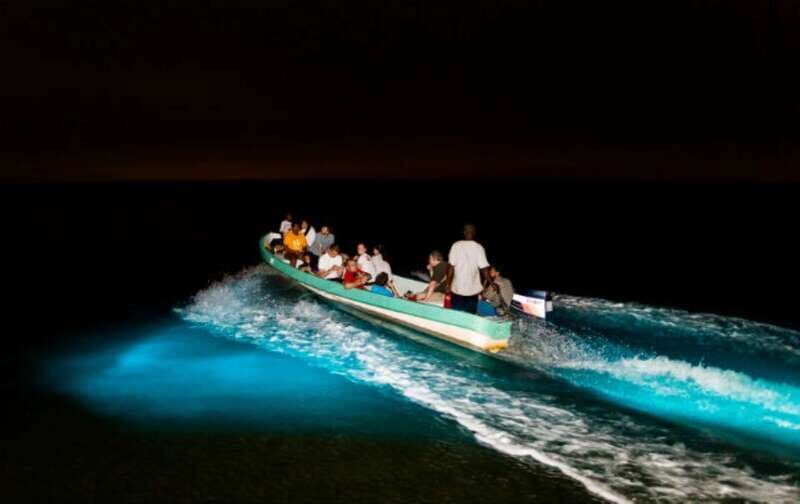 Puerto Escondido: Turtle Release and Bioluminescent Plankton - The Bioluminescent Lagoon Experience