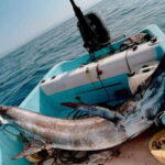 Puerto: Fishing Experience Marlin, Sailfish, Tuna or Dorado - Detailed Breakdown of the Itinerary