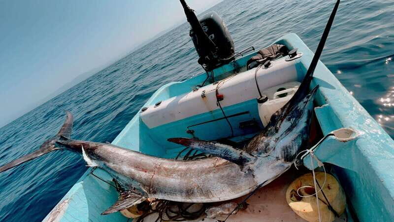 Puerto: Fishing Experience Marlin, Sailfish, Tuna or Dorado - Detailed Breakdown of the Itinerary