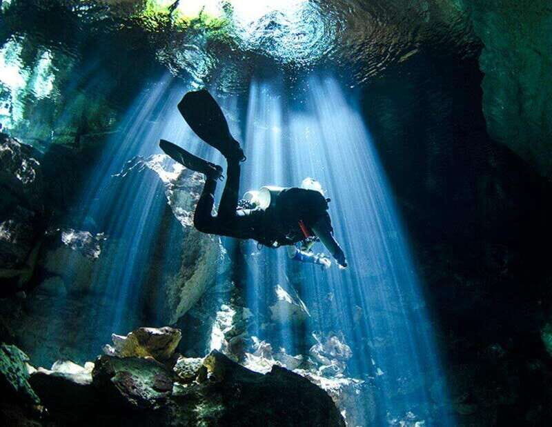 Puerto Morelo: Cenote Diving - The Experience from Reviews and Feedback