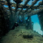 Puerto Morelos: C-56 Shipwreck & Reef for Certified Divers - Who Should Consider This Tour?