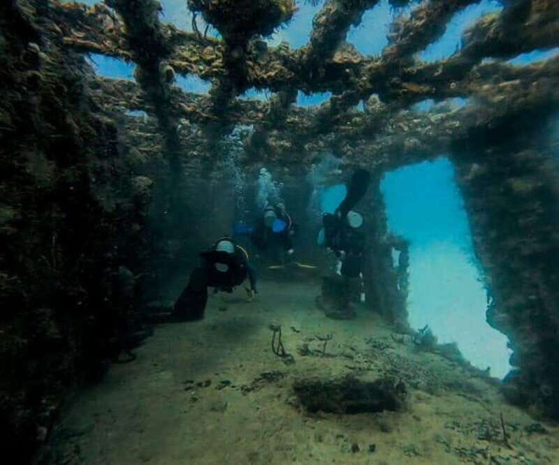 Puerto Morelos: C-56 Shipwreck & Reef for Certified Divers - Who Should Consider This Tour?