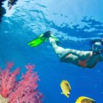 Puerto Morelos Catamaran Reef Sail and Snorkel - What Could Be Improved?