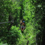 Puerto Morelos: Jungle ATV Adventure, Ziplines and Cenote - Who Will Love This Tour?