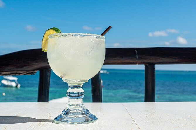 Puerto Morelos Reef Snorkeling Tour with Lunch & Hotel Pickup - What to Expect on the Tour